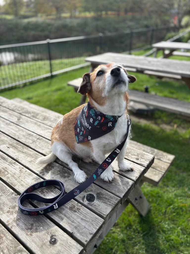 Renegade Dog Lead - Renegade Brewery